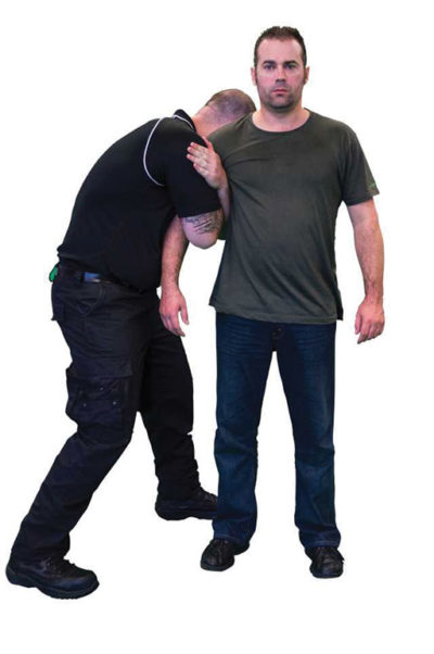 UNRULY PASSENGER RESTRAINT: MITIGATING THE RISKS | Transport Security ...